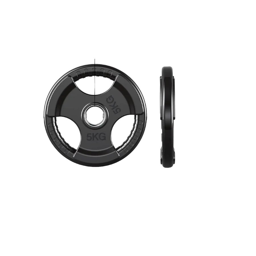 Rubber Coated Cast Iron Weight Plate Manufacturer And Supplier